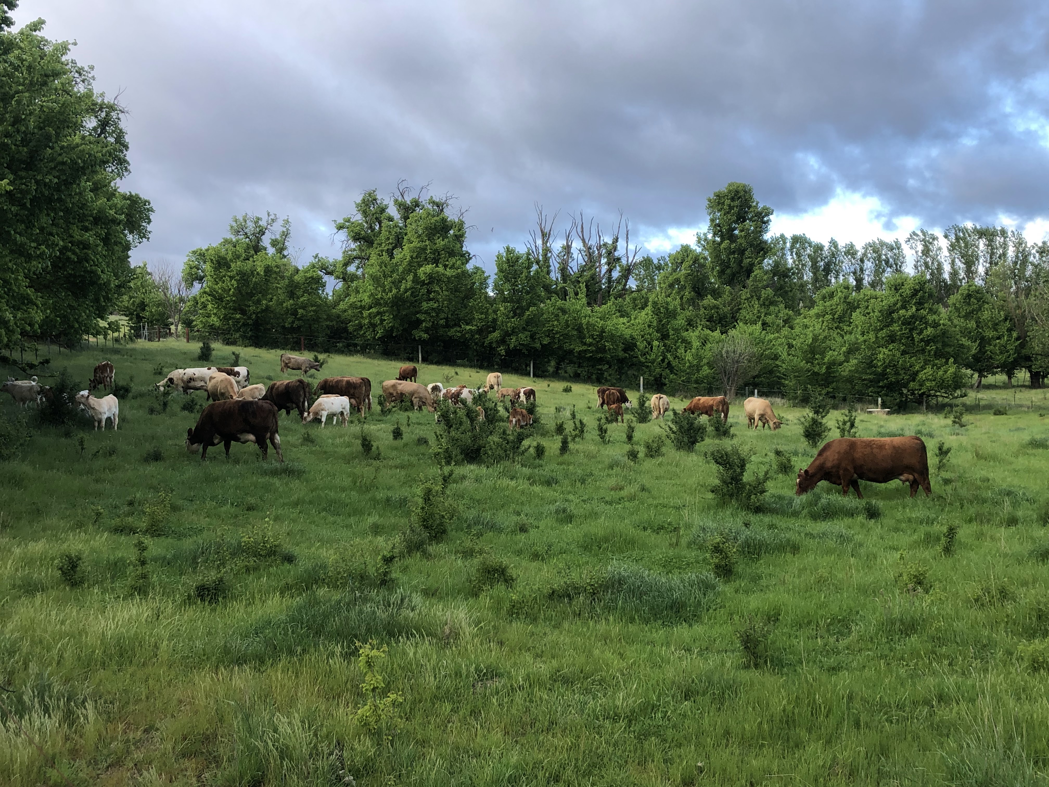 A strategy emerges | rockfarming
